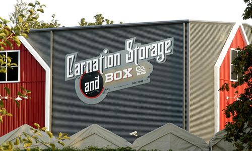Carnation Storage